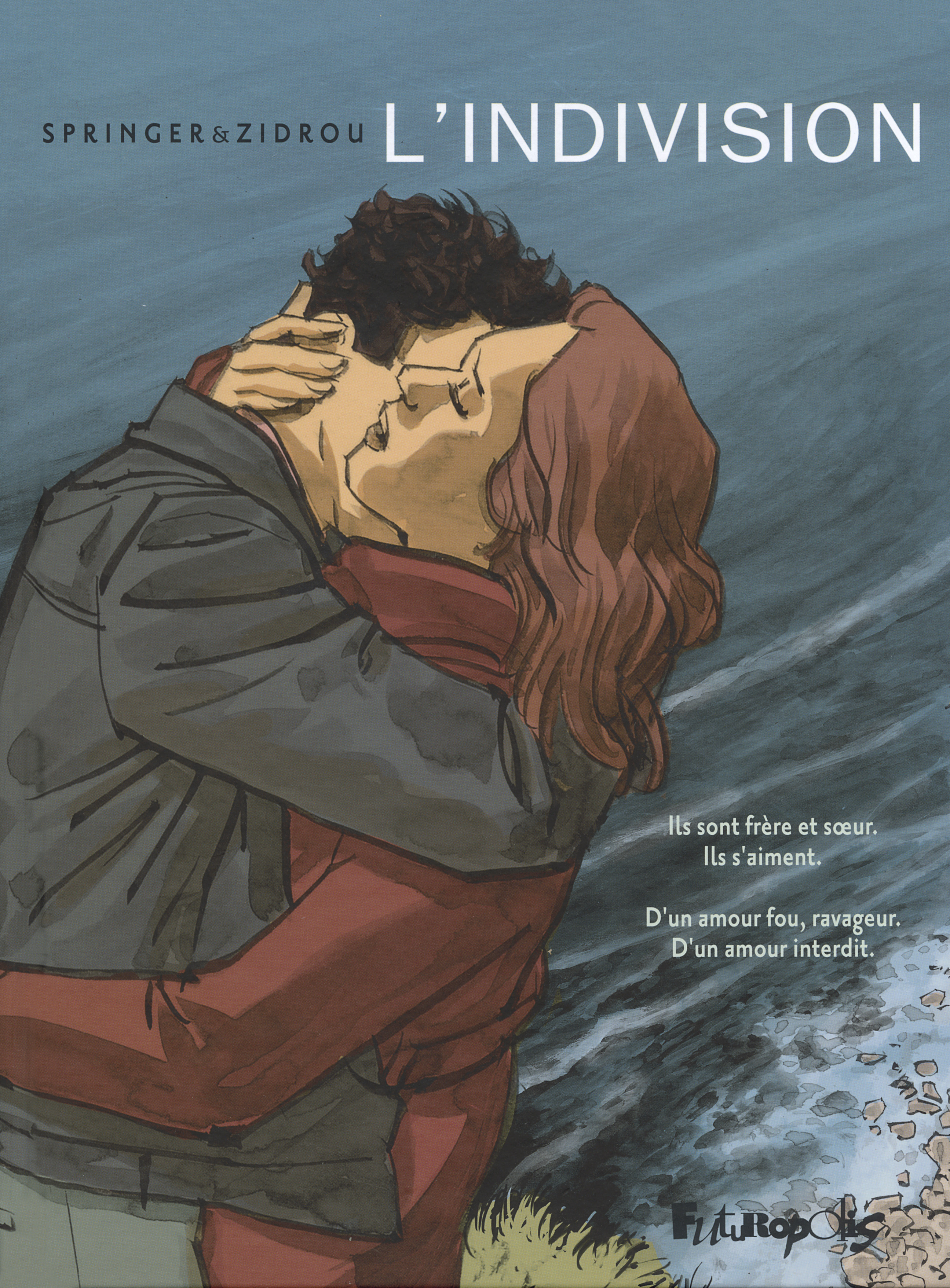 critique de "L'Indivision", dernier livre de Benoît Springer - onlalu