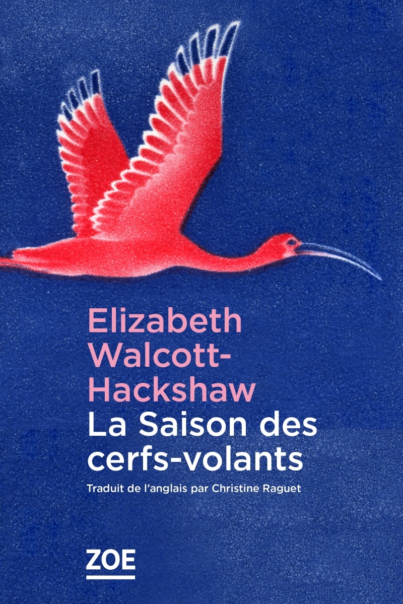 critique de "La saison des cerfs-volants", dernier livre de Elizabeth ...